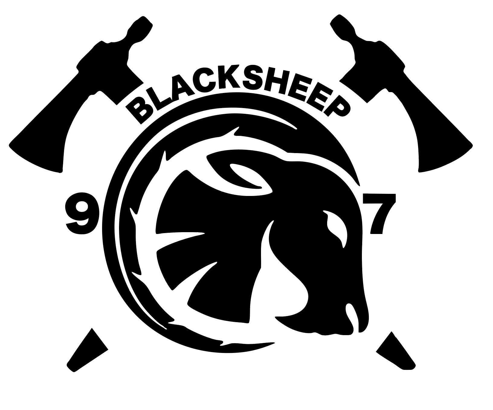 B co 97th CA BN – Quiet Signal USA